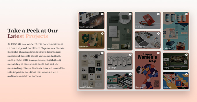 Recent Work | Explore TRODAD’s Latest Creative Projects